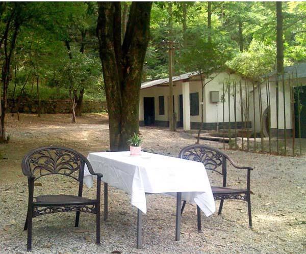 Huangshan Pine Ridge Lodge