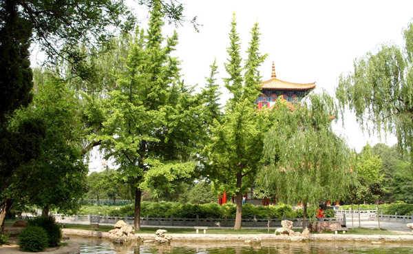 Photo, Image & Picture of Wangcheng Park View